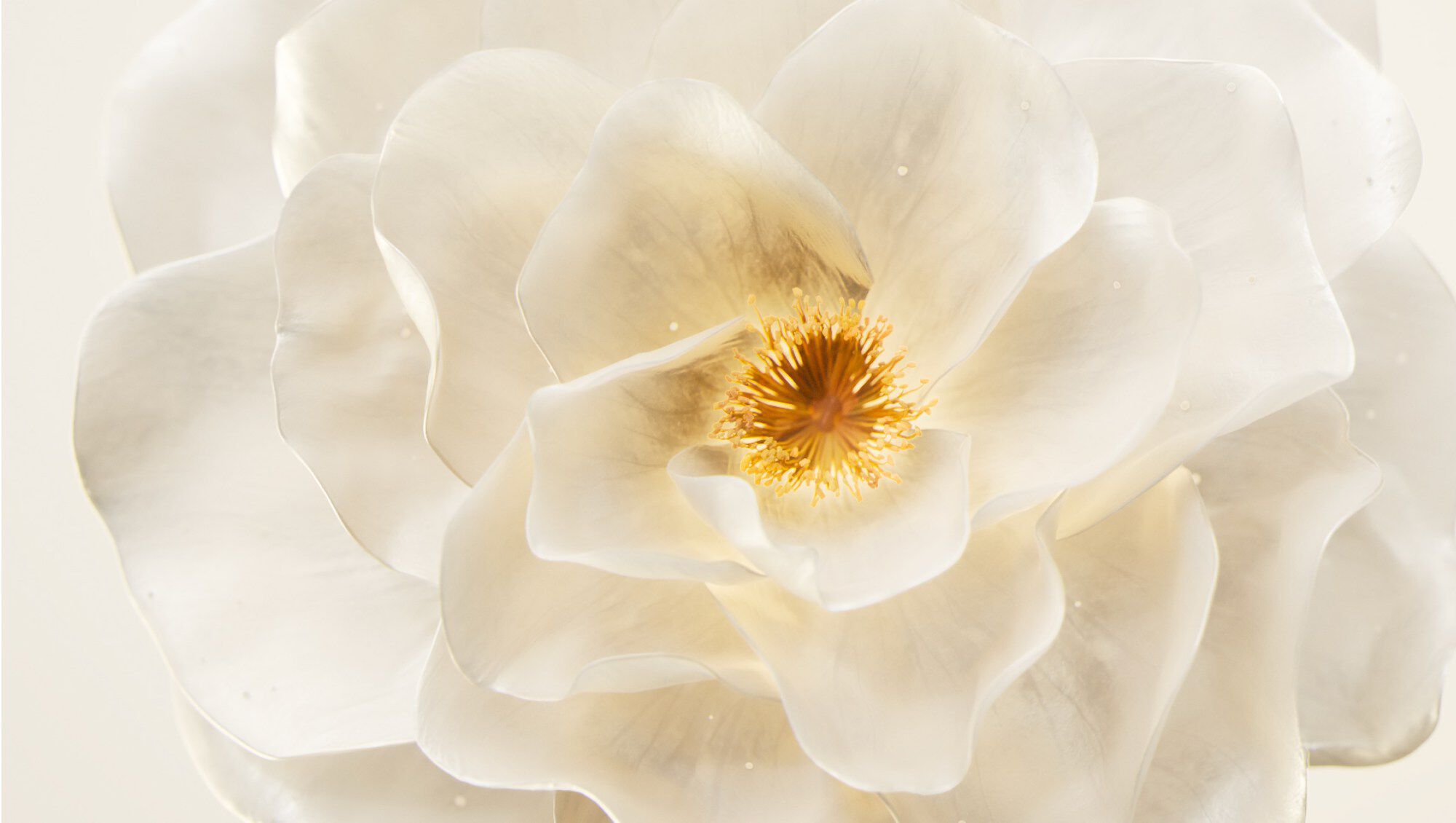 Elixir Ultime Refillable Hair Oil | Coming Soon | Kerastase Canada